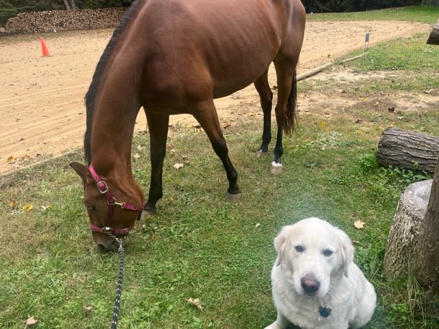 Mary E. Baker-Shoup - Critchfield, Critchfield & Johnston