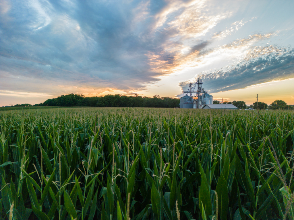 The Big Beautiful Bill’s New Rules for Federal Farm Program Payments ...