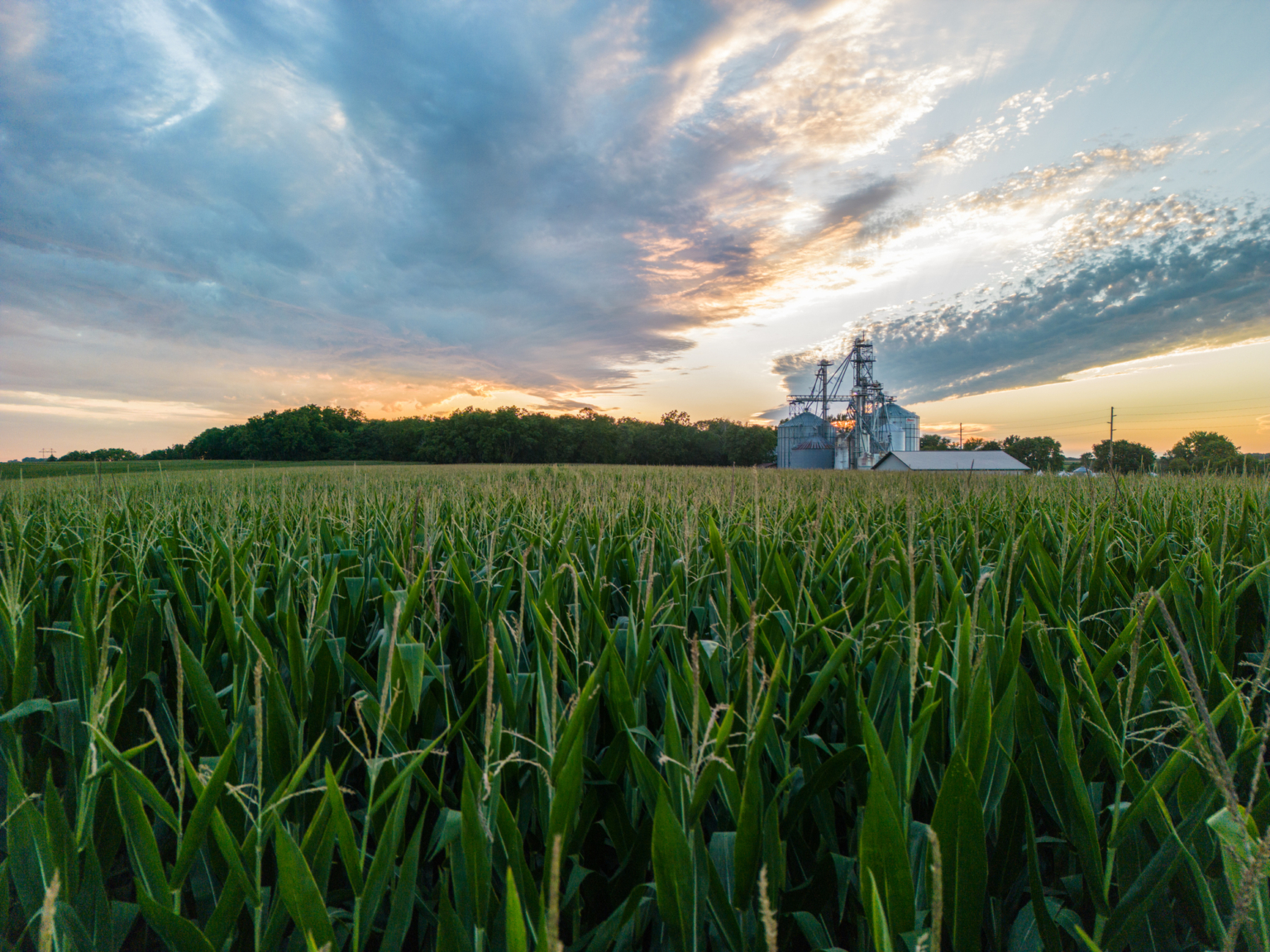 The Big Beautiful Bill’s New Rules for Federal Farm Program Payments ...